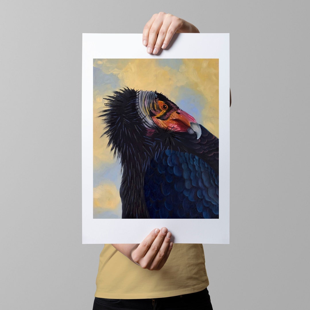California Condor Print - Etsy