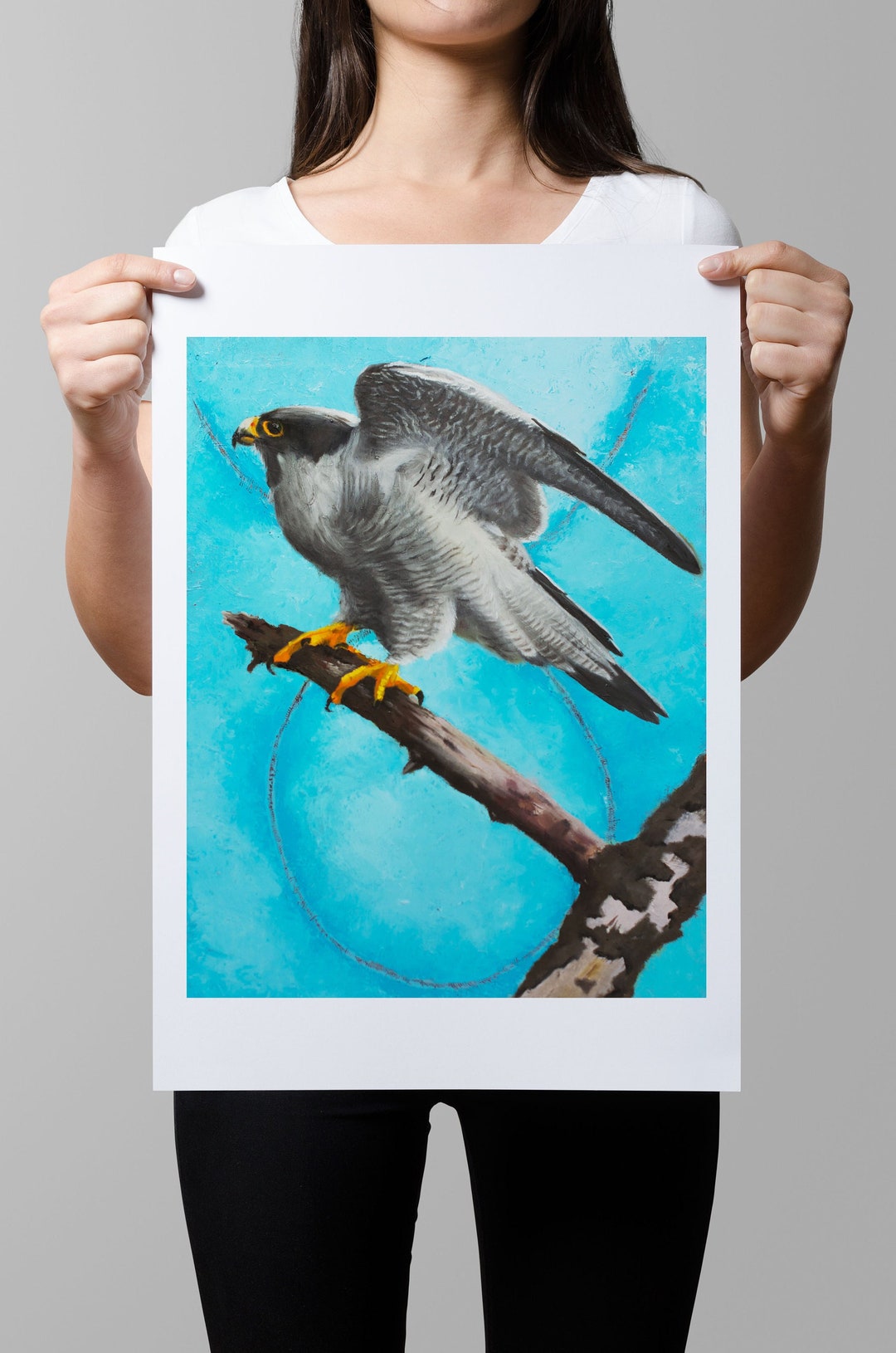 Peregrine Falcon Print - Etsy
