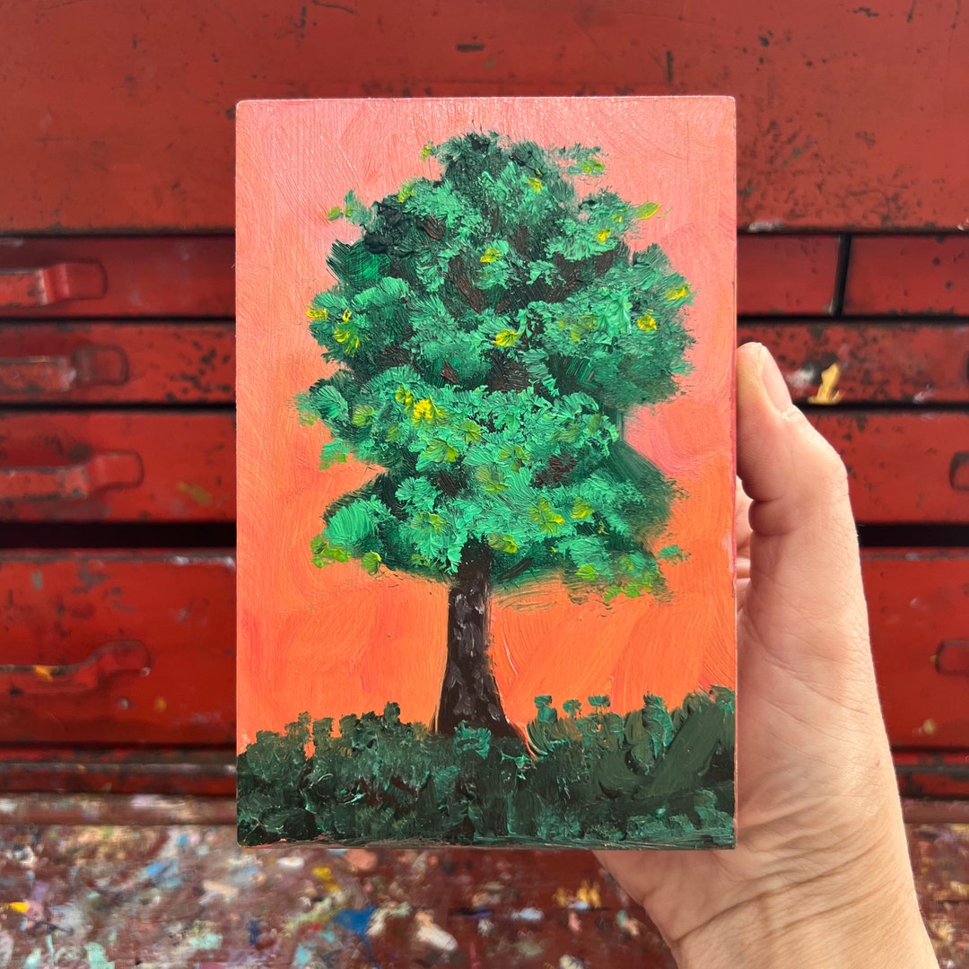 Hackberry: February Month Birth Tree - Etsy