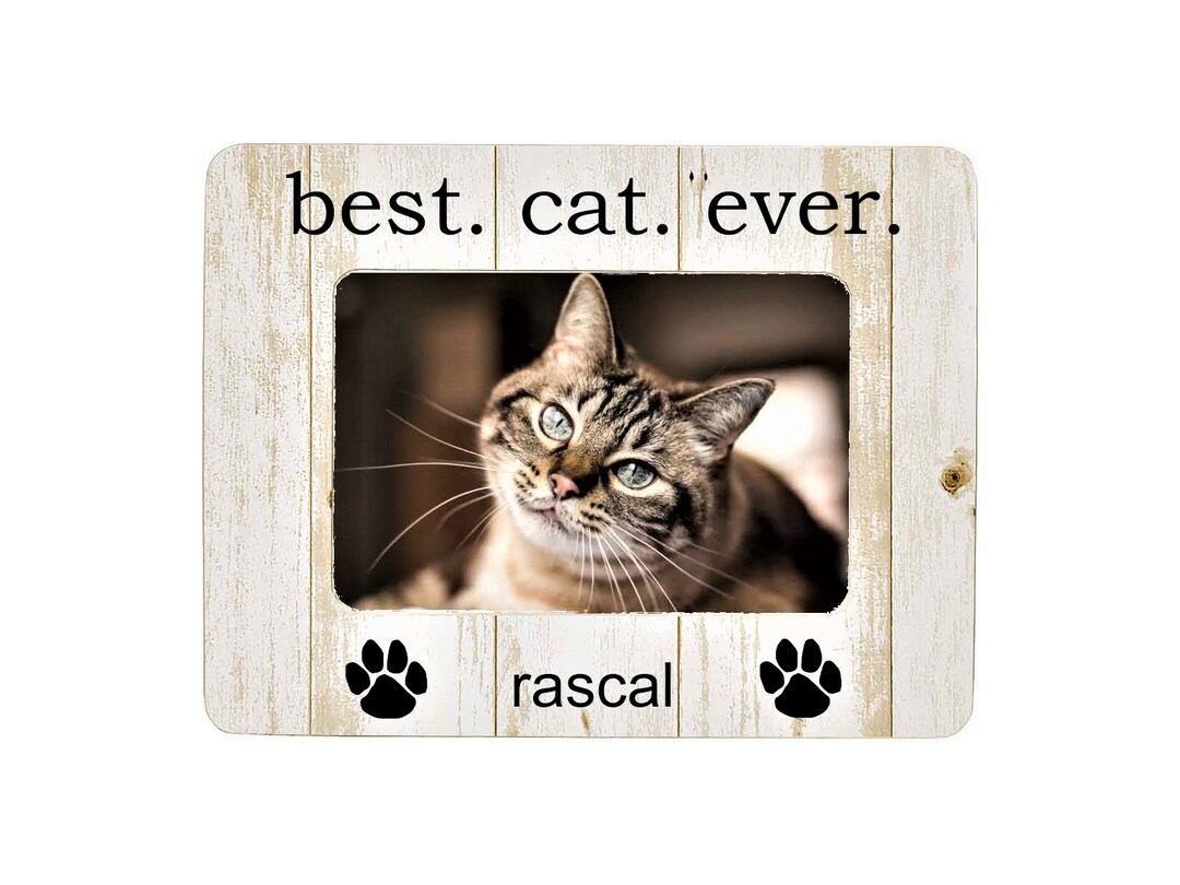 Cat Memorial Picture Frame-personalized Pet Memorial-dog Memorial Frame ...