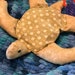 Turtle Microwavable Heating Herbal Wrap/ Pack | Etsy