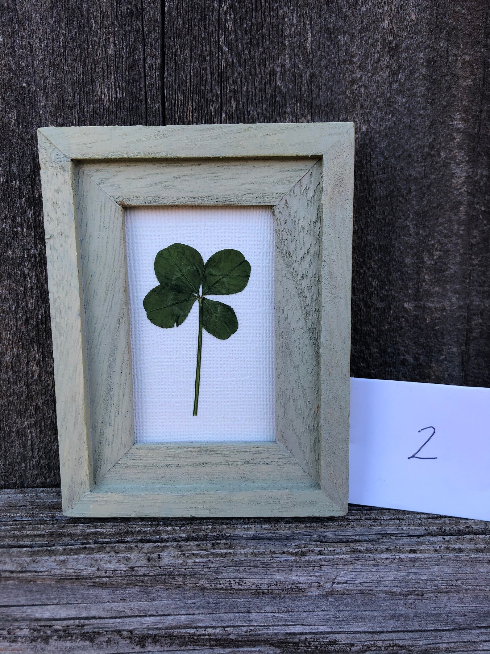 Genuine Four Leaf Clover Framed | Etsy