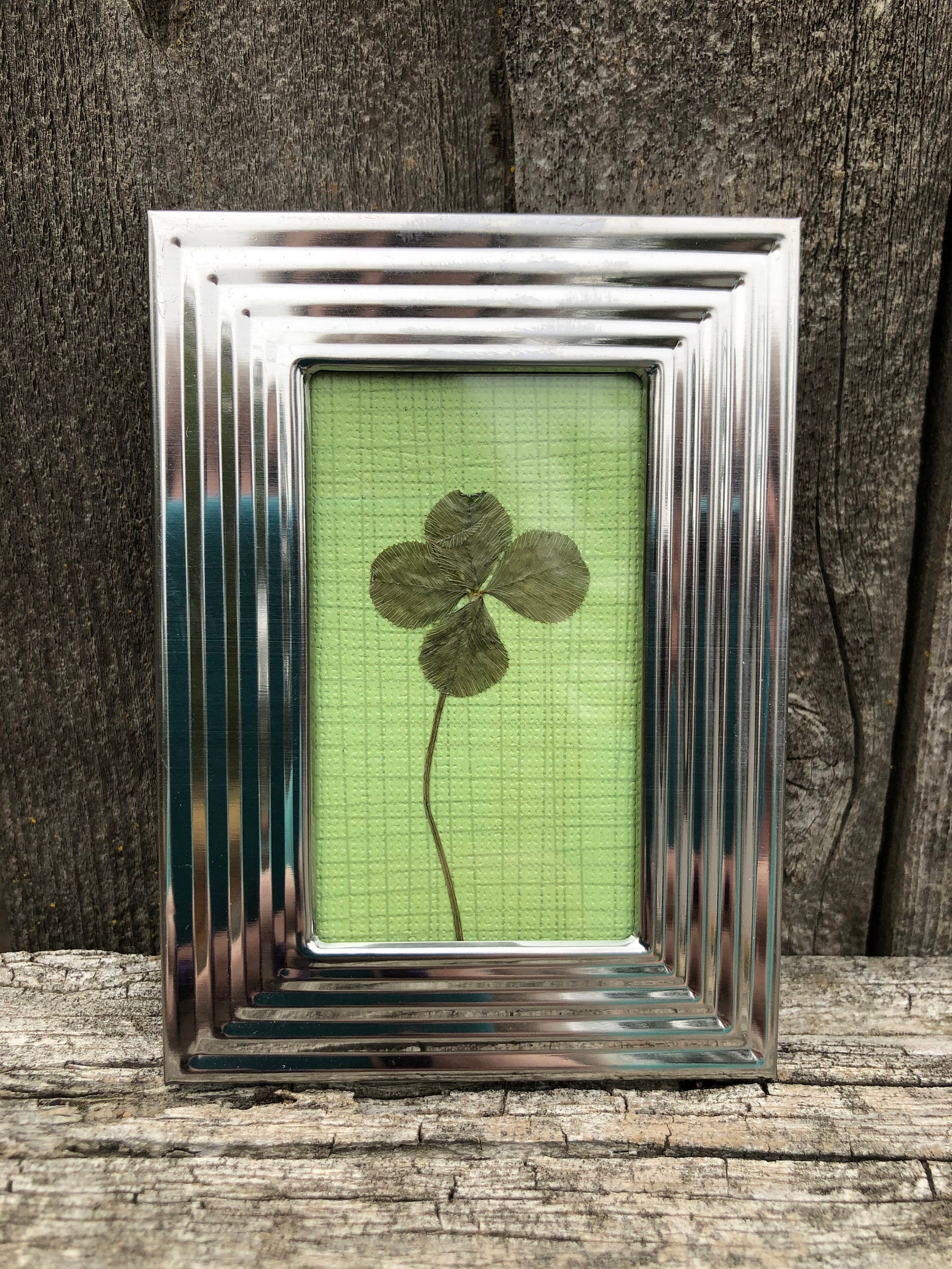 Genuine Four Leaf Clover Framed | Etsy