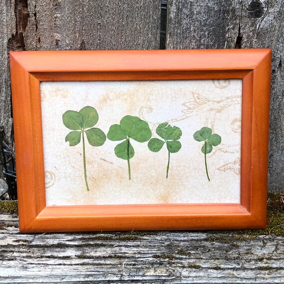Four Leaf Clover Family Depiction - Etsy