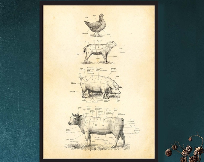 Butcher Diagram Beef Detailed Cuts of Beef Poster use Every Part of the ...