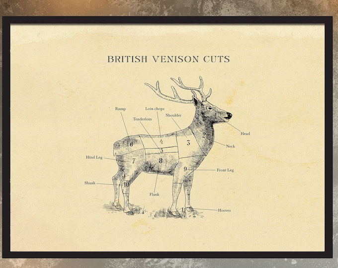 Venison Deer Butcher Processing Chart Laminated Poster - Etsy Canada