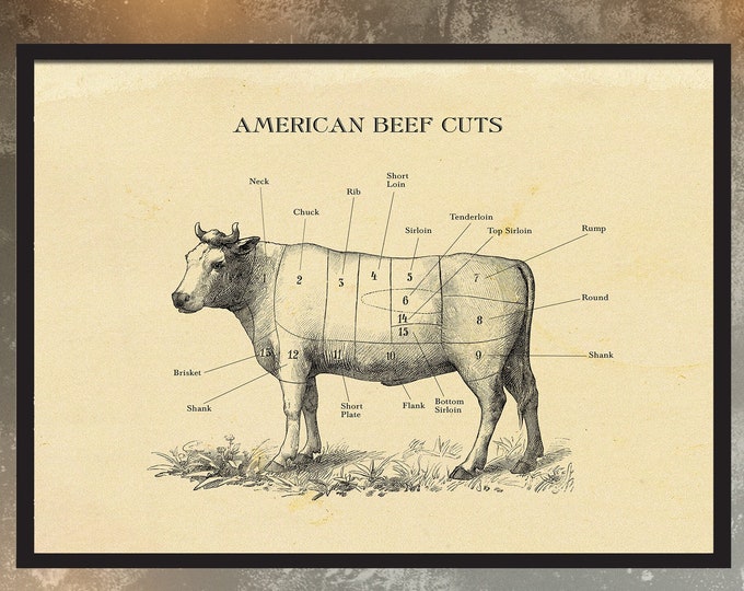 AMERICAN Beef Cut Cow Print, Butcher Chart, Vintage Etching Print - Etsy