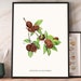 Botanical Chocolate Cookie Print Biscuit Cookie Art Print - Etsy