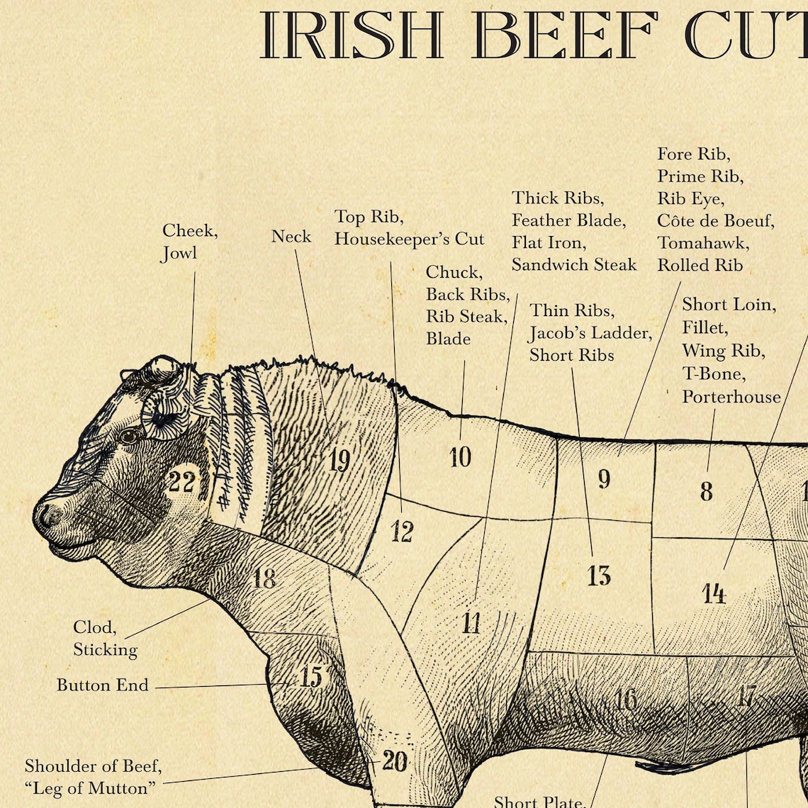IRISH Butcher Chart Prints Set of 4 Etching Style 10% Off - Etsy
