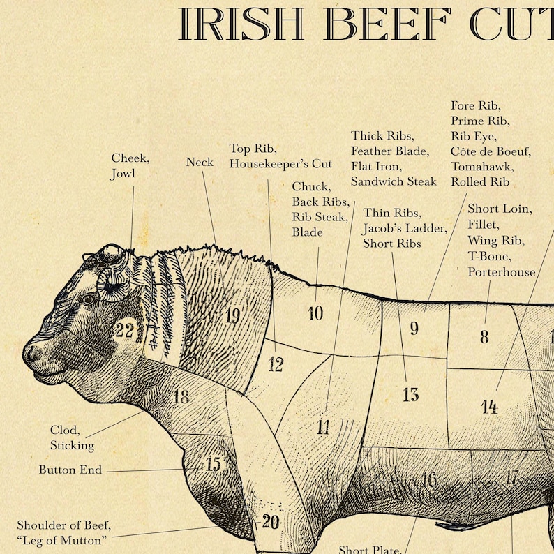 IRISH Butcher Chart Prints Set of 4, Etching Style, 10% Off - Etsy