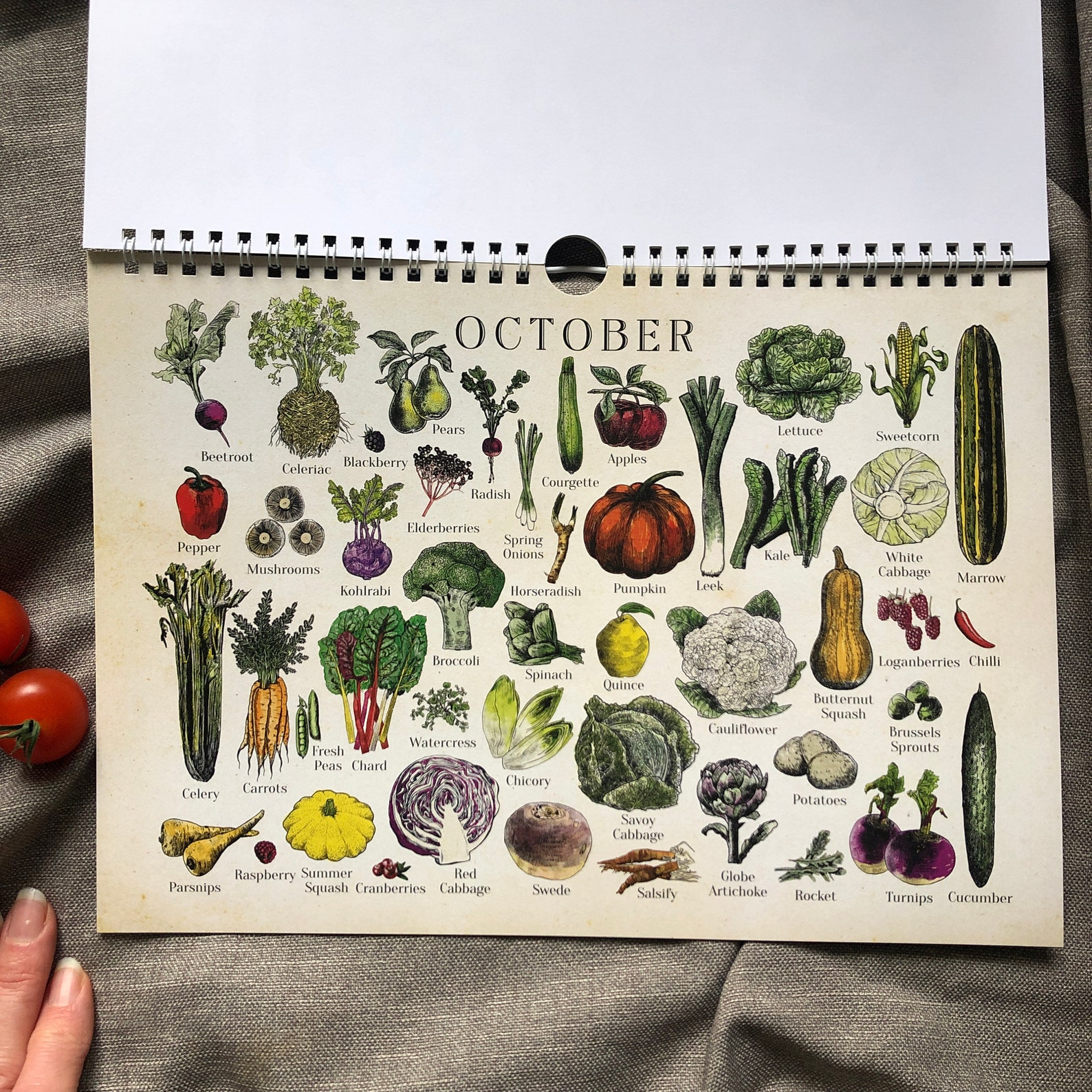 UK Seasonal Calendar, A4 (dateless) Fruit and Vegetable Wall Calendar ...