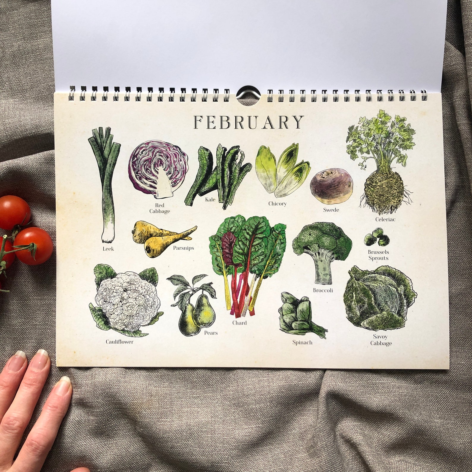 UK Seasonal Calendar, A4 (dateless) Fruit and Vegetable Wall Calendar ...