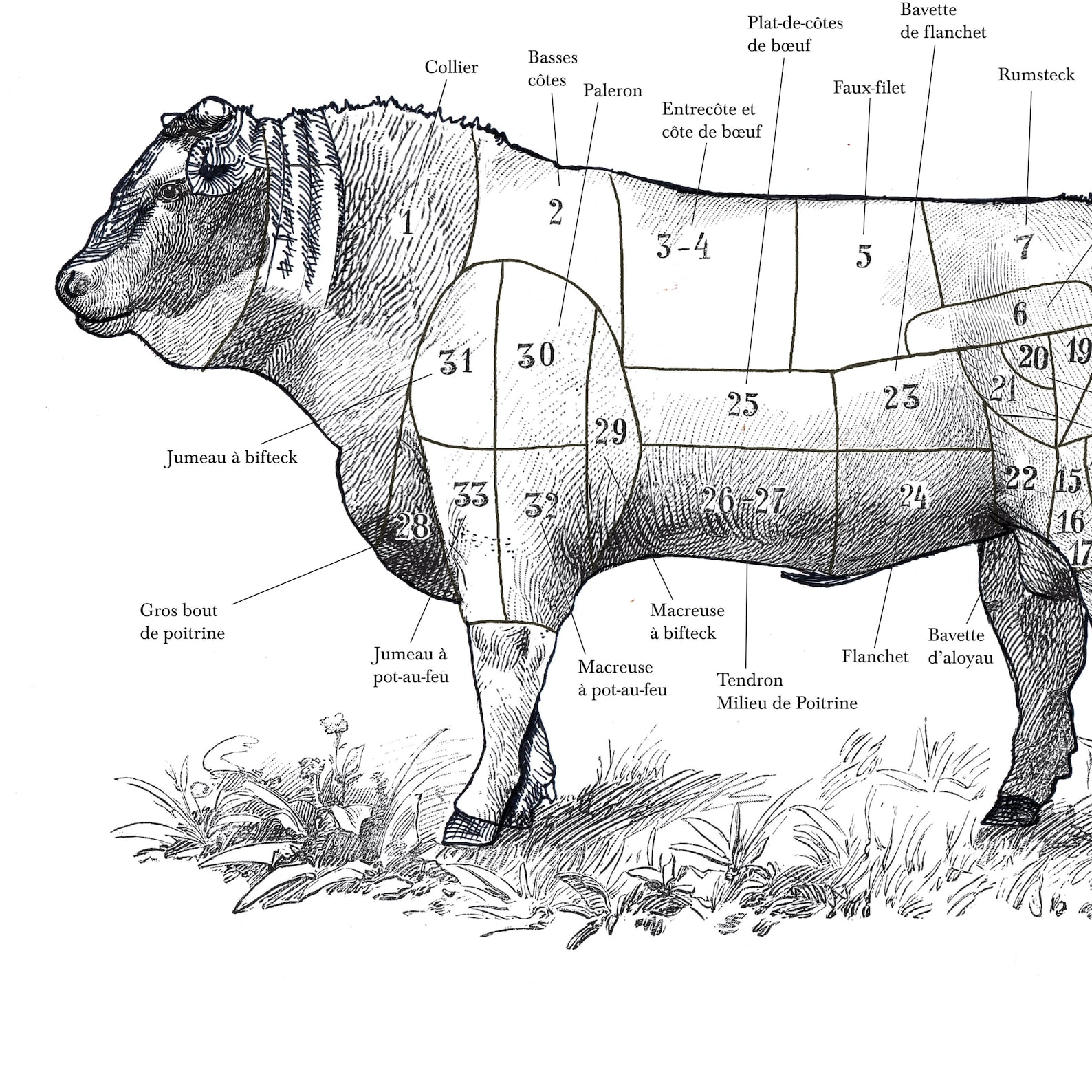 FRENCH Beef Cuts Print – Vintage Butcher Cuts Poster, All Sizes ...