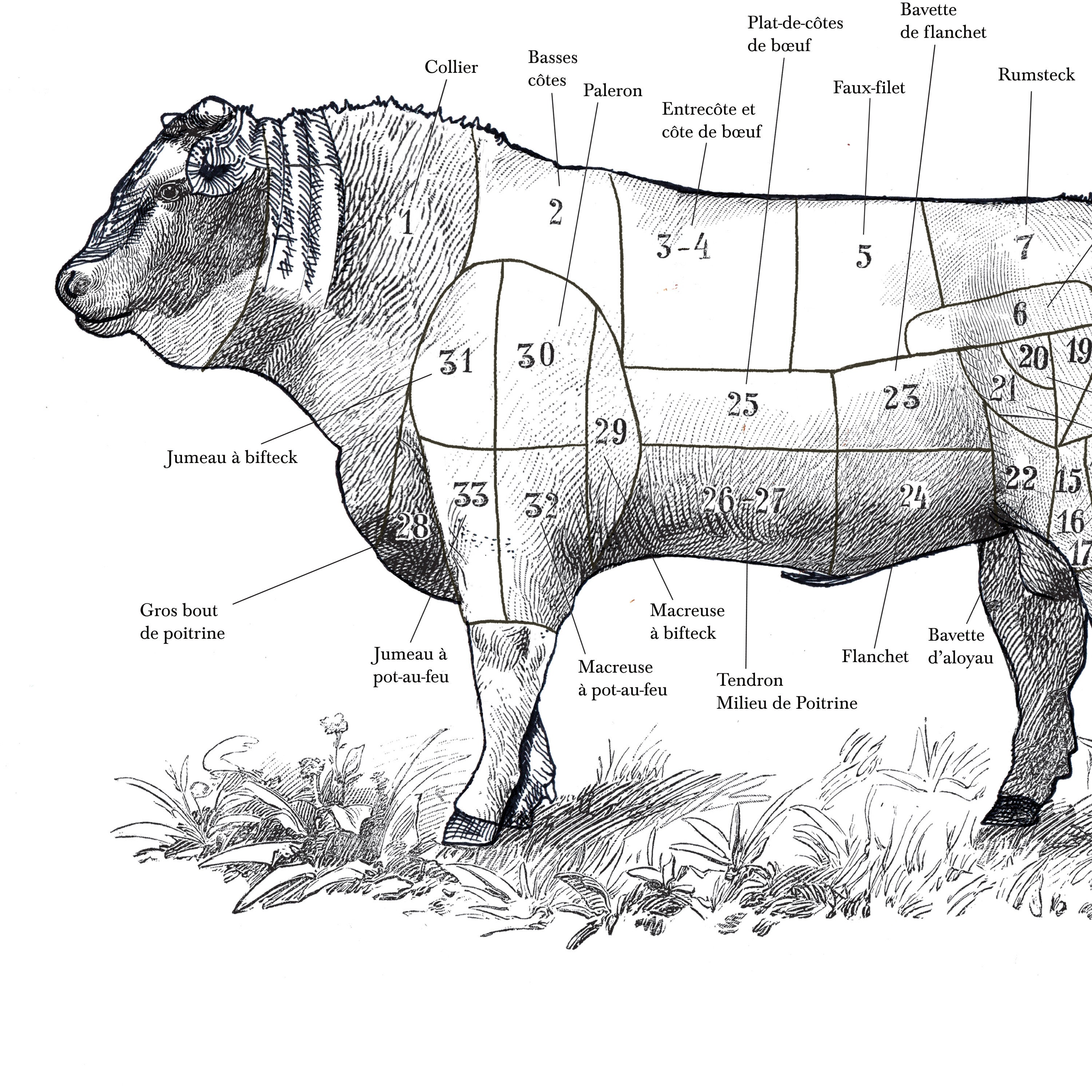 FRENCH Beef Cuts Print Vintage Butcher Cuts Poster All - Etsy UK