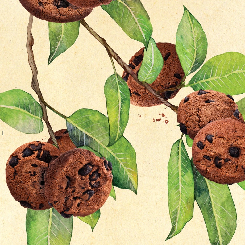 Botanical Chocolate Cookie Print, Biscuit Cookie Art Print, Cookies ...
