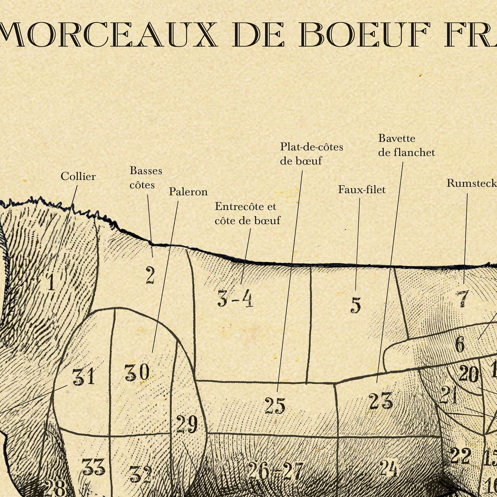 FRENCH Beef Cuts Print – Vintage Butcher Cuts Poster, All Sizes ...