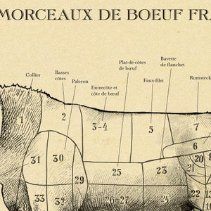 FRENCH Beef Cuts Print – Vintage Butcher Cuts Poster, All Sizes ...