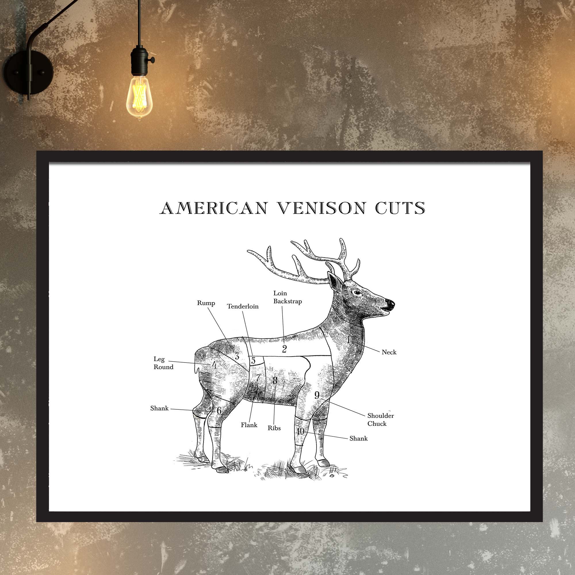 AMERICAN Venison Butcher Chart Cuts of Meat Etching Style Print Farmhouse Decor Etsy Ireland