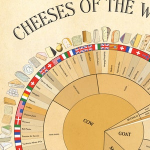 Cheese of the World Circular Chart, Cheese Chart, Cheese Diagram ...
