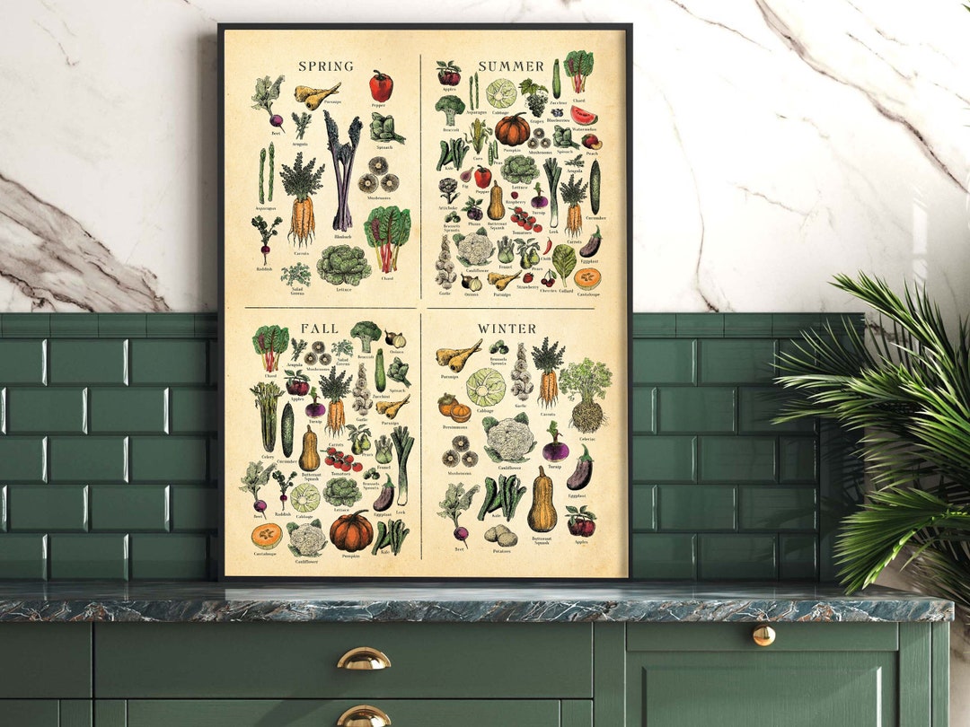 AMERICAN Midwest Seasonal Fruit and Veg Poster, Vegetable Chart ...