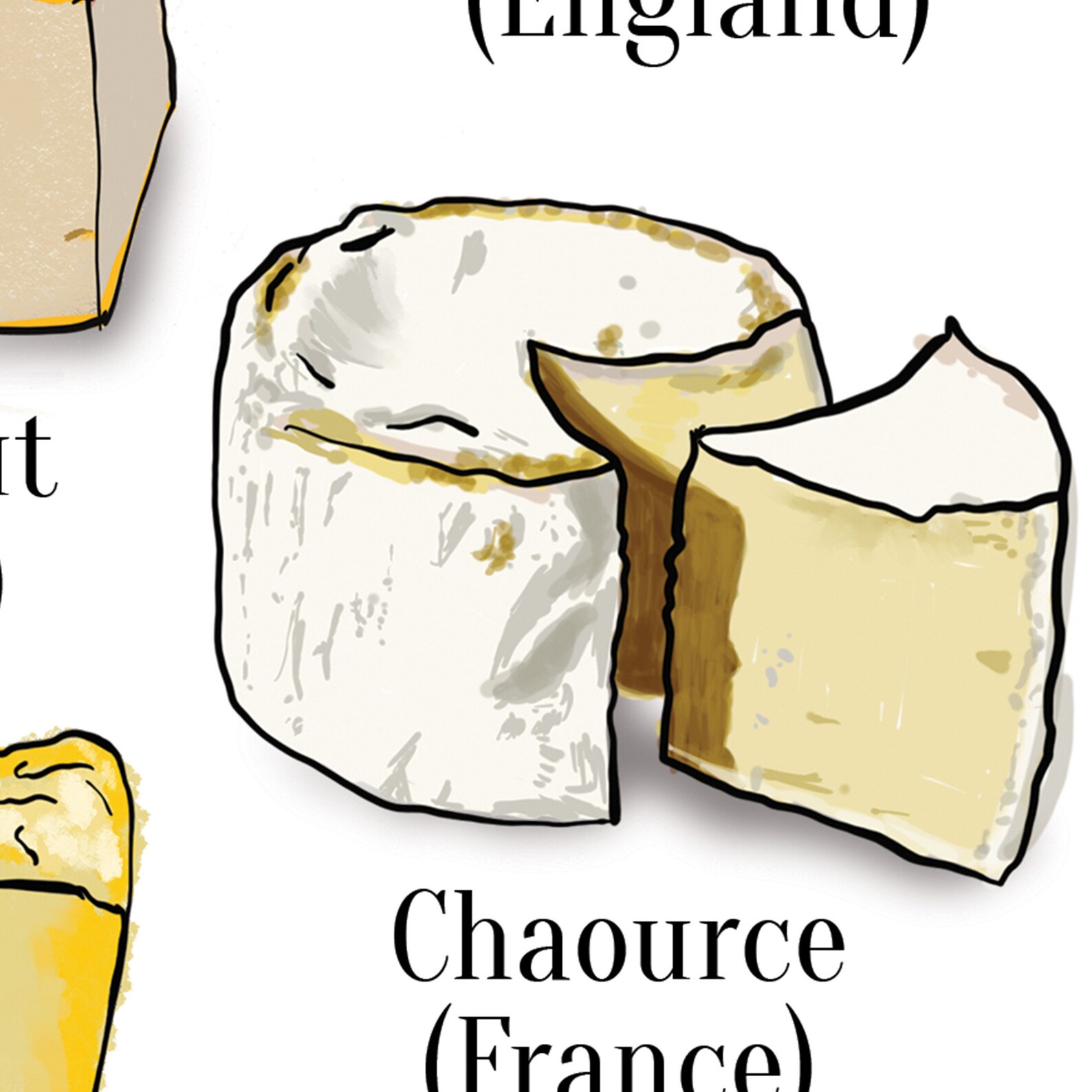 Cheese of the World Poster, Kitchen Decoration, Cheese Knowledge Poster ...