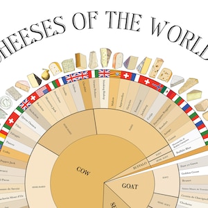 Cheese of the World Circular Chart, Cheese Chart, Cheese Diagram ...