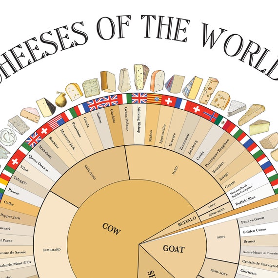 Types Of Cheese Chart