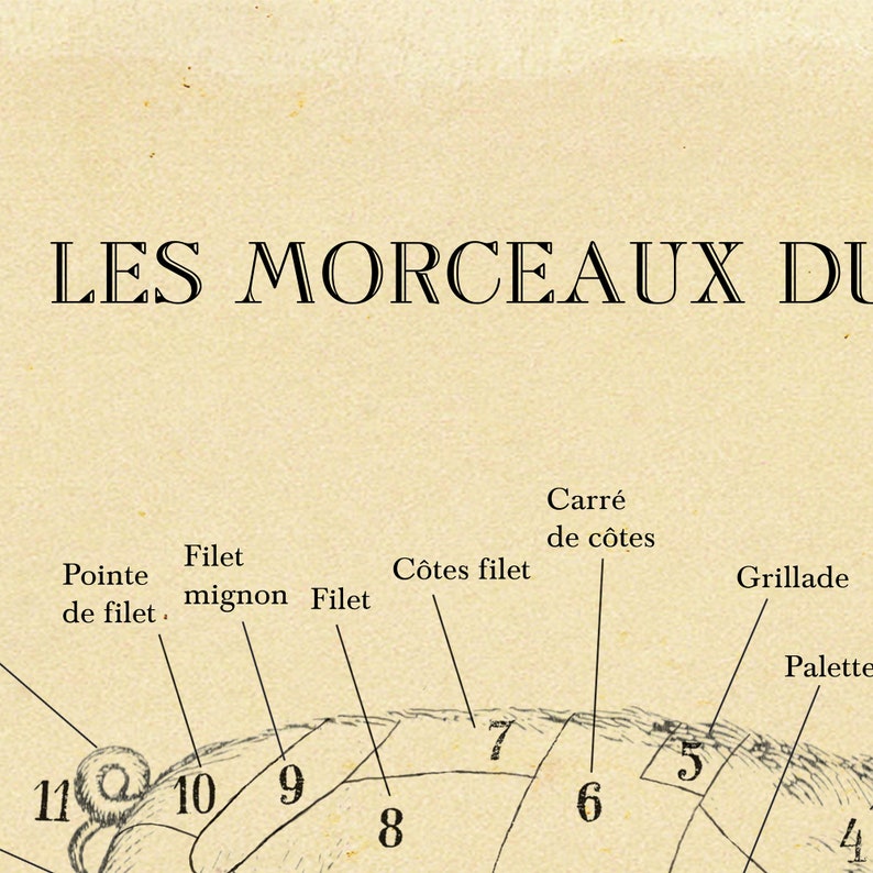 FRENCH Pork Cuts Chart – Butcher Chart, Etching Print, Farmhouse Print ...
