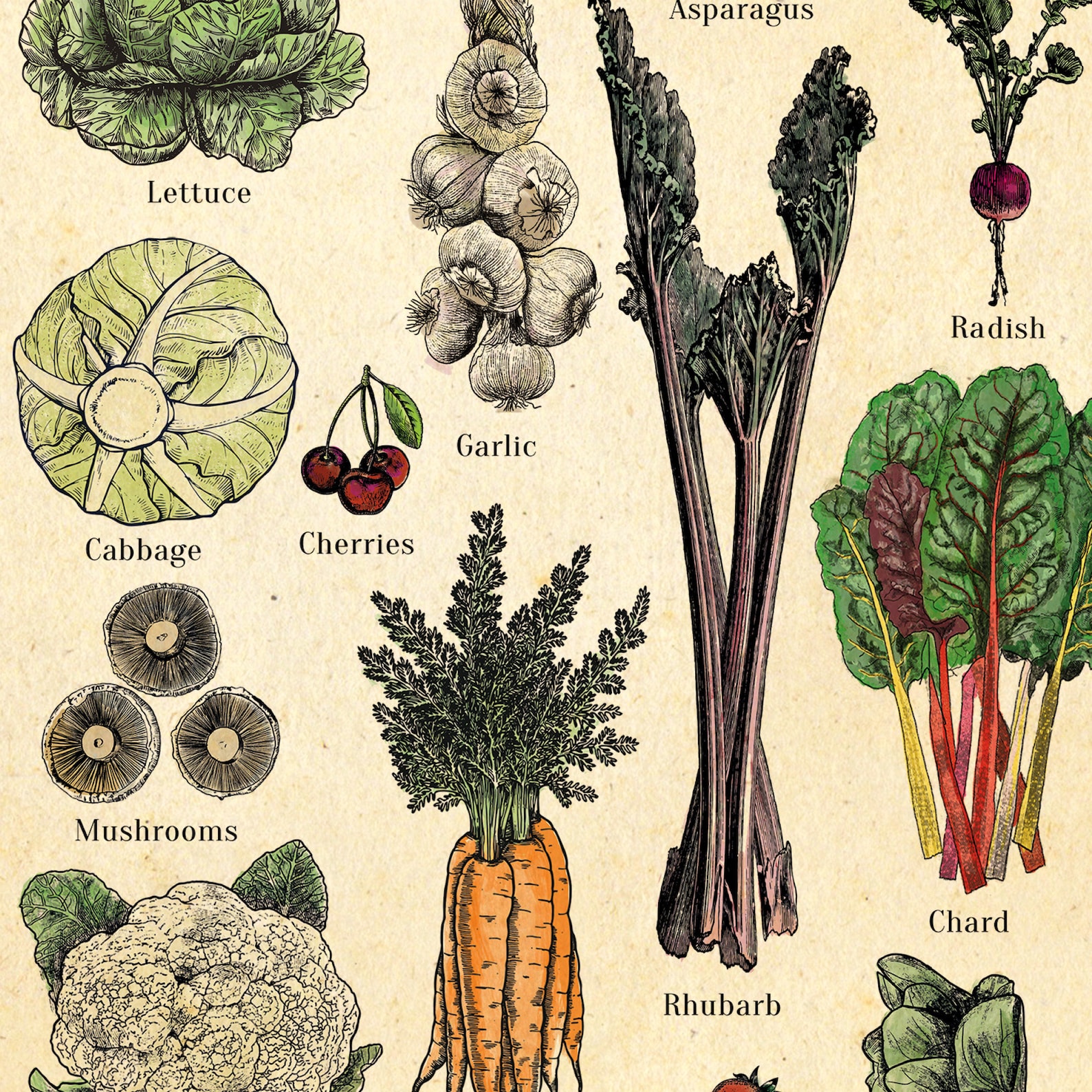 AMERICAN NE Seasonal Fruit and Veg Poster, Vegetable Chart, Vintage ...