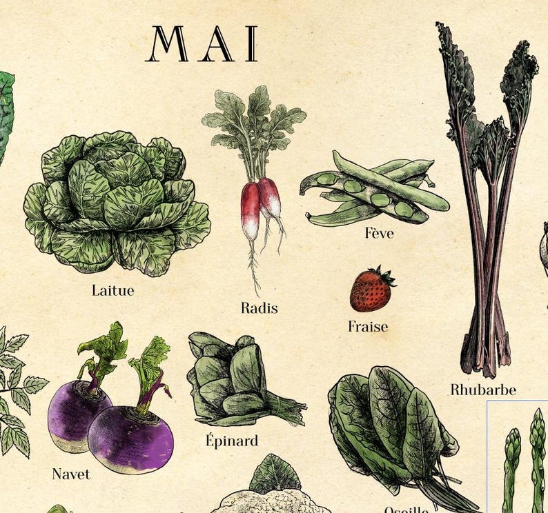 FRENCH Seasonal Fruit and Vegetable DIY Wall Calendars 2026 (EU & Rest ...