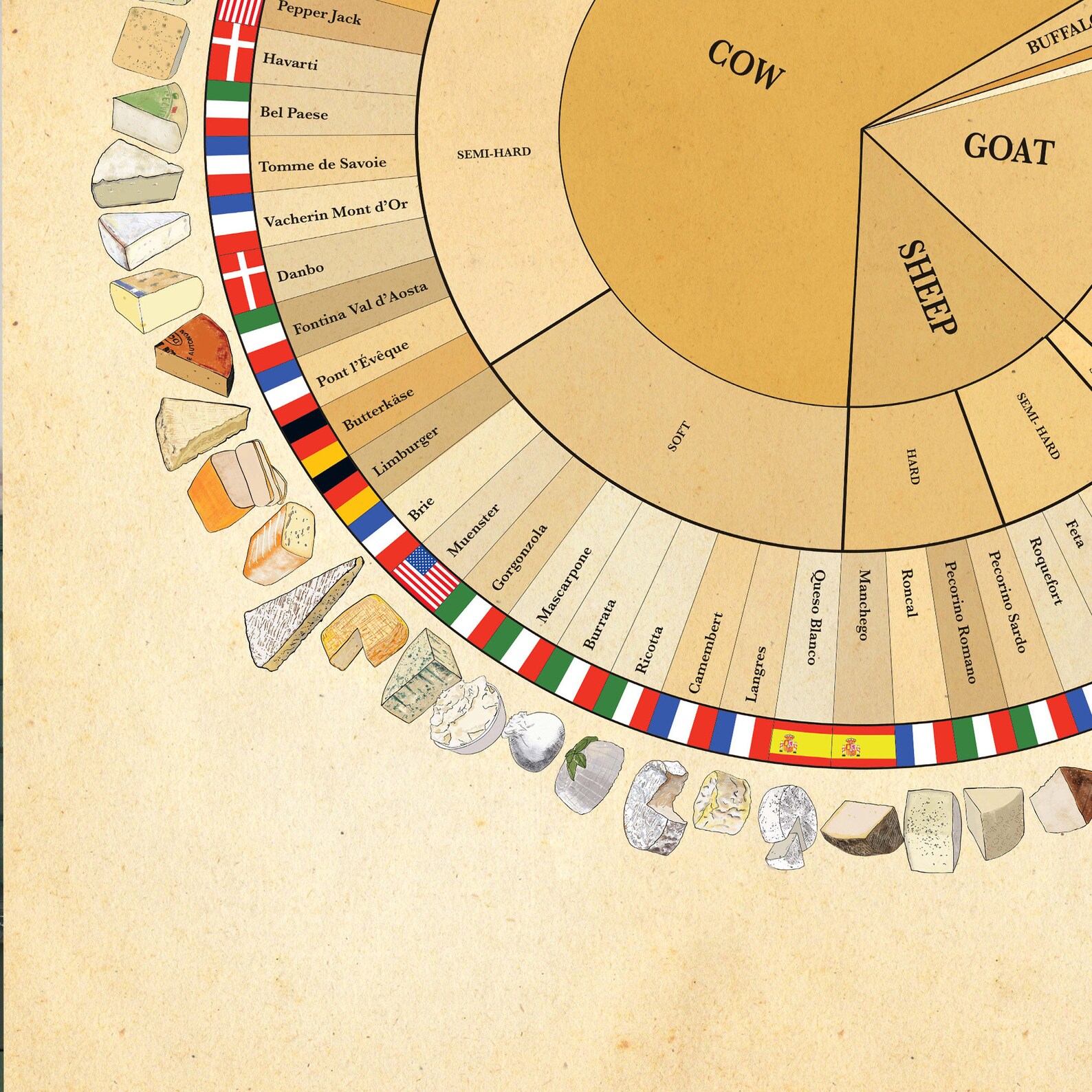 Cheese of the World Circular Chart, Cheese Chart, Cheese Diagram ...