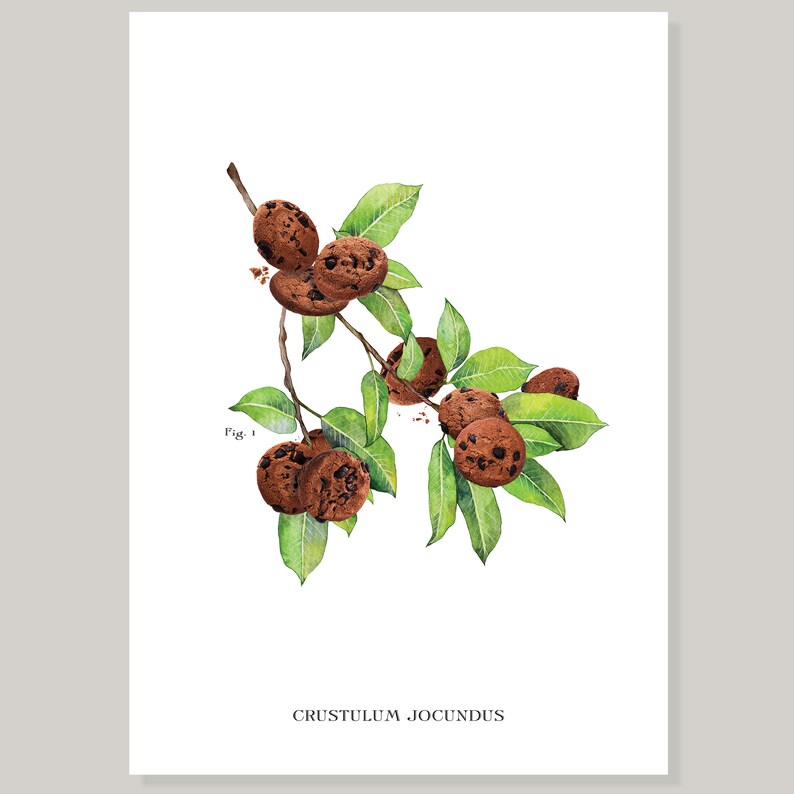 Botanical Chocolate Cookie Print, Biscuit Cookie Art Print, Cookies ...