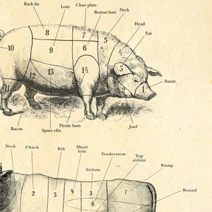 AMERICAN Meat Cuts Chart, Butcher Cuts Print, All Sizes, Vintage ...