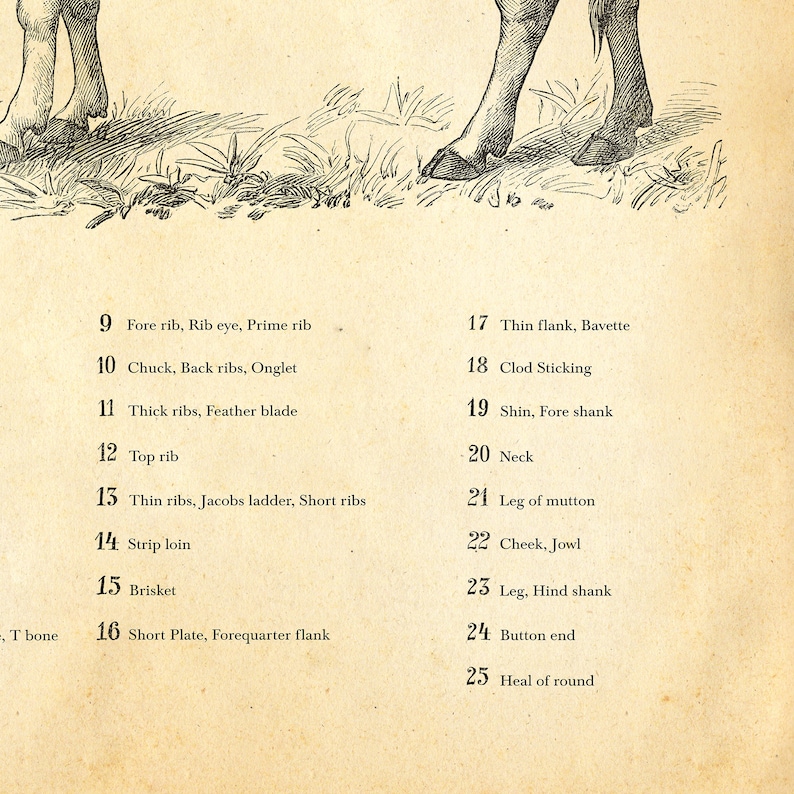 British Beef Cuts Chart, Beef Cut Cow Print, Kitchen Collection - Etsy