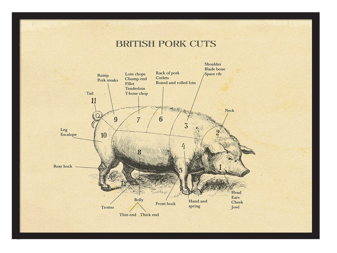 BRITISH Pork Charcuterie Print, Animal Diagram, Vintage Butcher Print ...