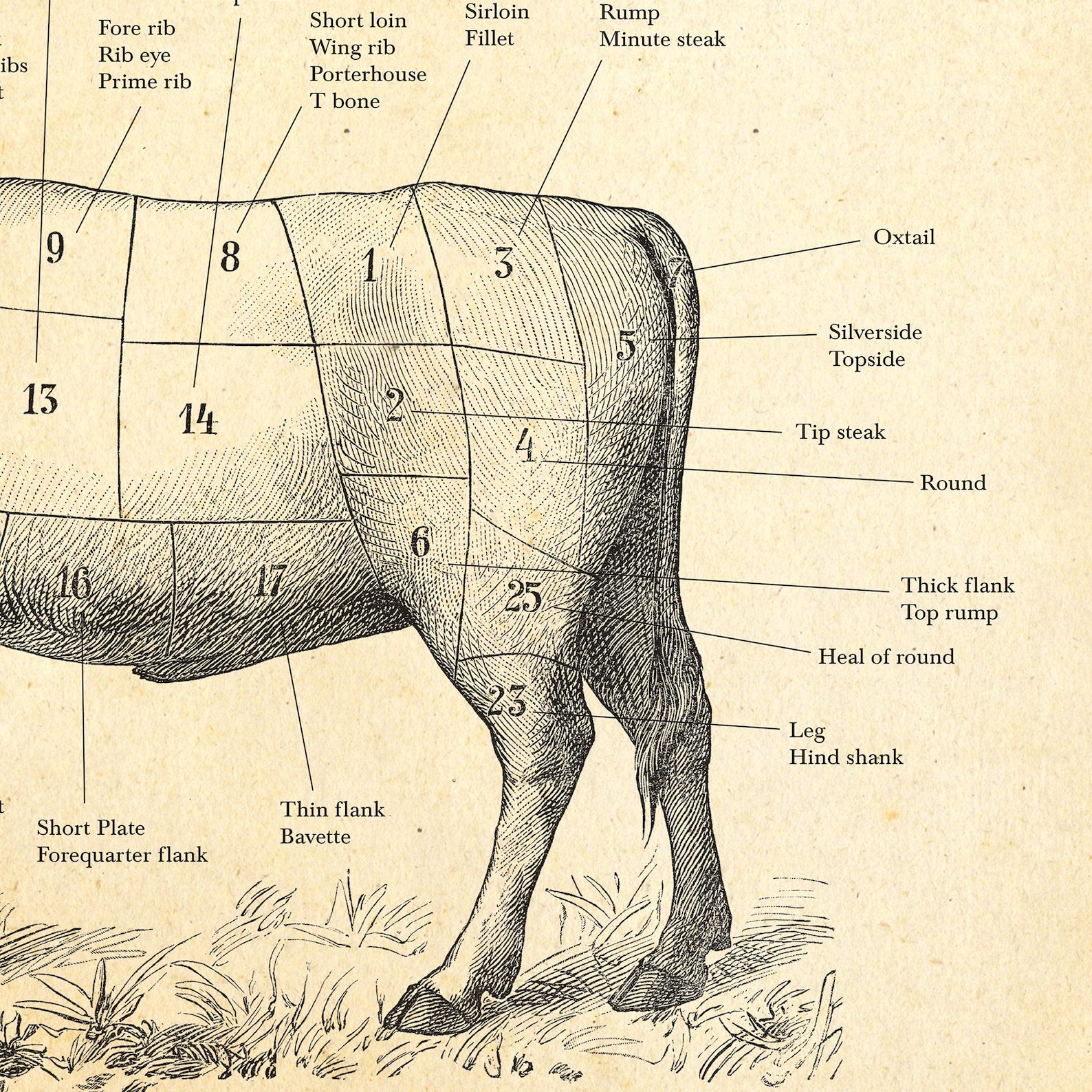 British Meat Cuts Diagram Print, Farmhouse Kitchen Decor - Etsy