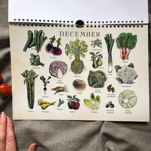 UK Seasonal Calendar, A4 (dateless) Fruit and Vegetable Wall Calendar ...