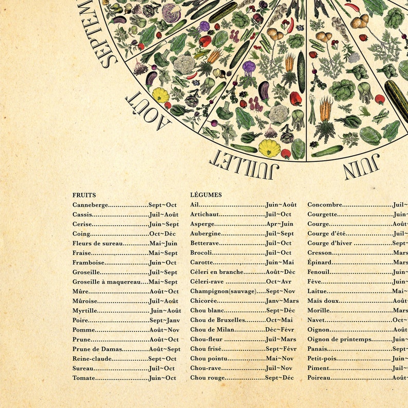 Seasonal FRENCH Fruit & Veg Chart, Monthly Vegetable Chart, Kitchen ...