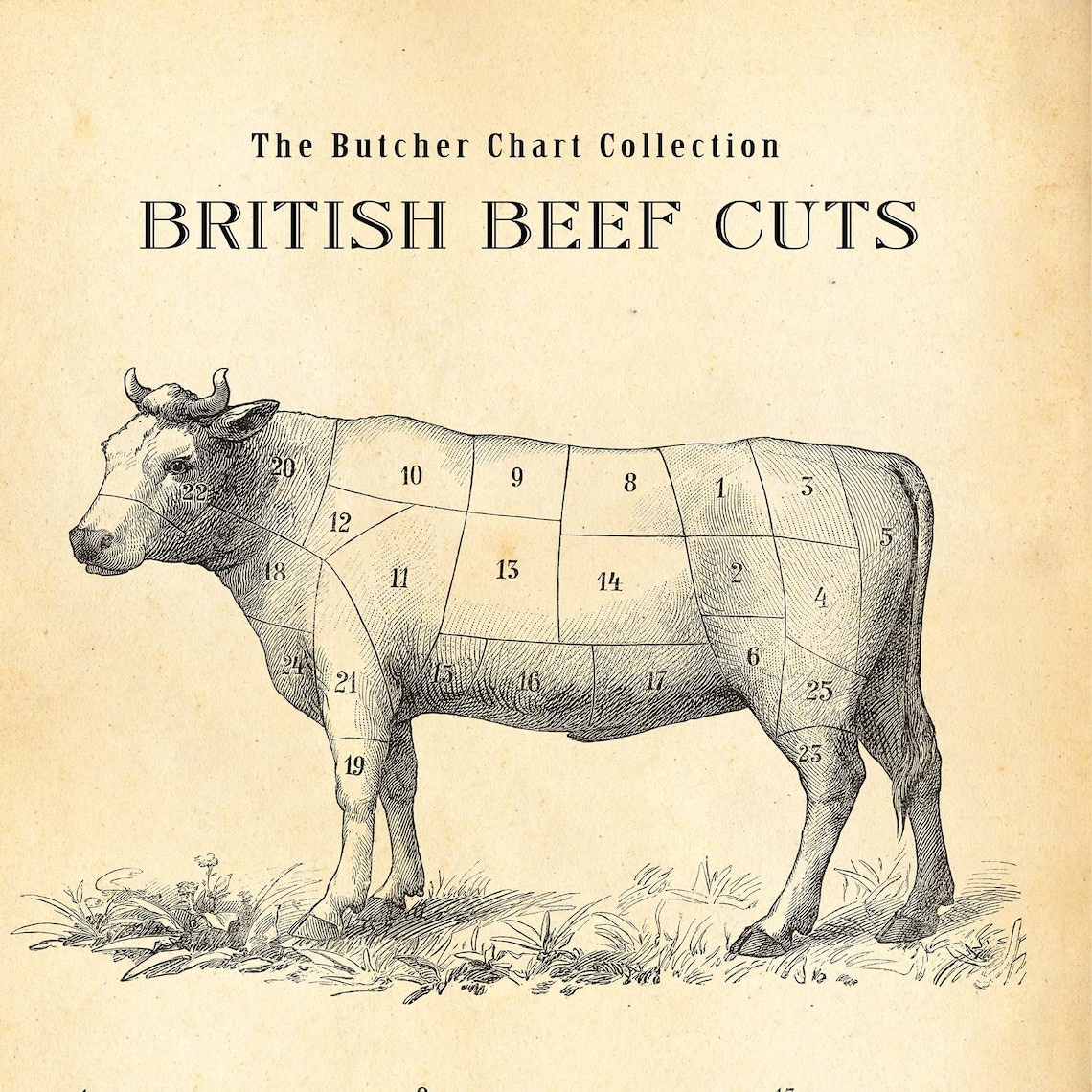 British Butcher Chart Set Meat Cuts Diagram 3 for 2 Offer - Etsy Canada