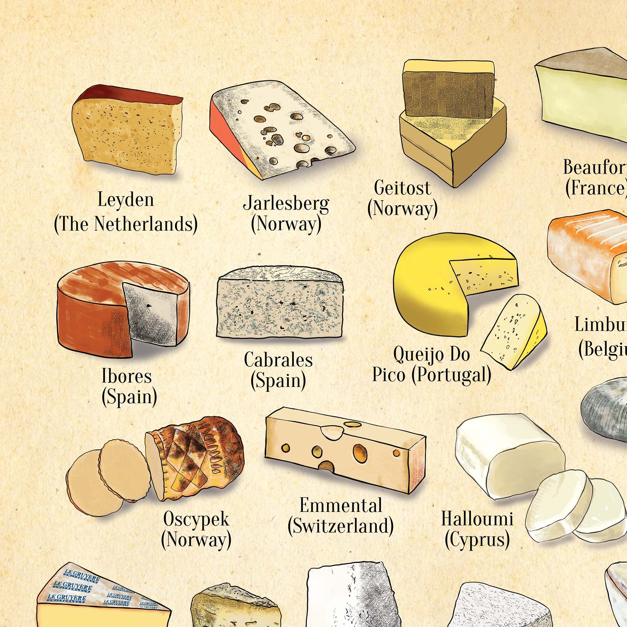 Cheese of the World Poster, Kitchen Decoration, Cheese Knowledge Poster ...