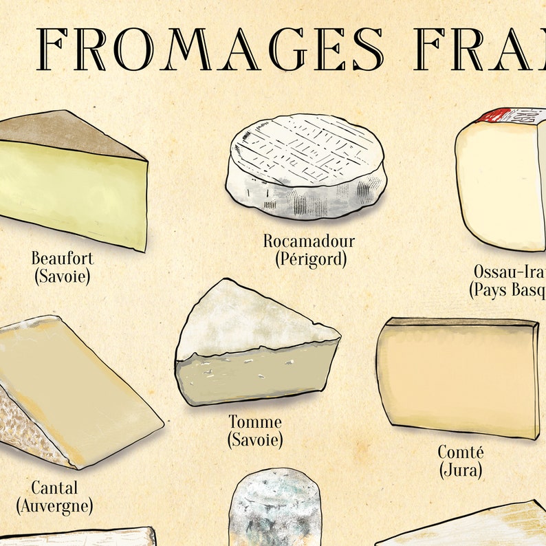 Vintage FRENCH Cheese Print Food Art Farmhouse Wall Art - Etsy
