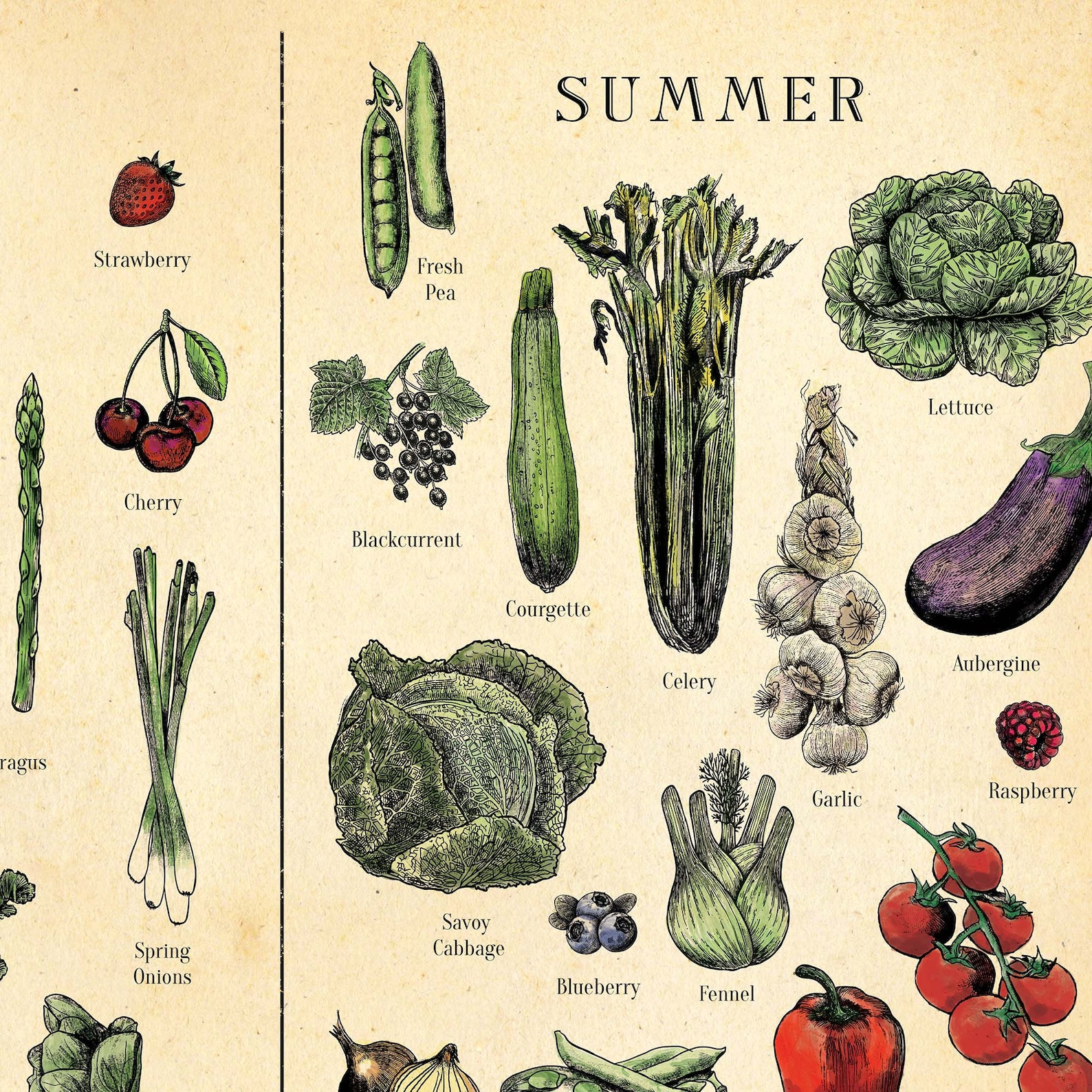 Seasonal Fruit and Veg Poster UK Version Vegetable Chart - Etsy