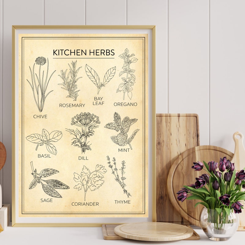 Kruiden poster - Etsy Nederland