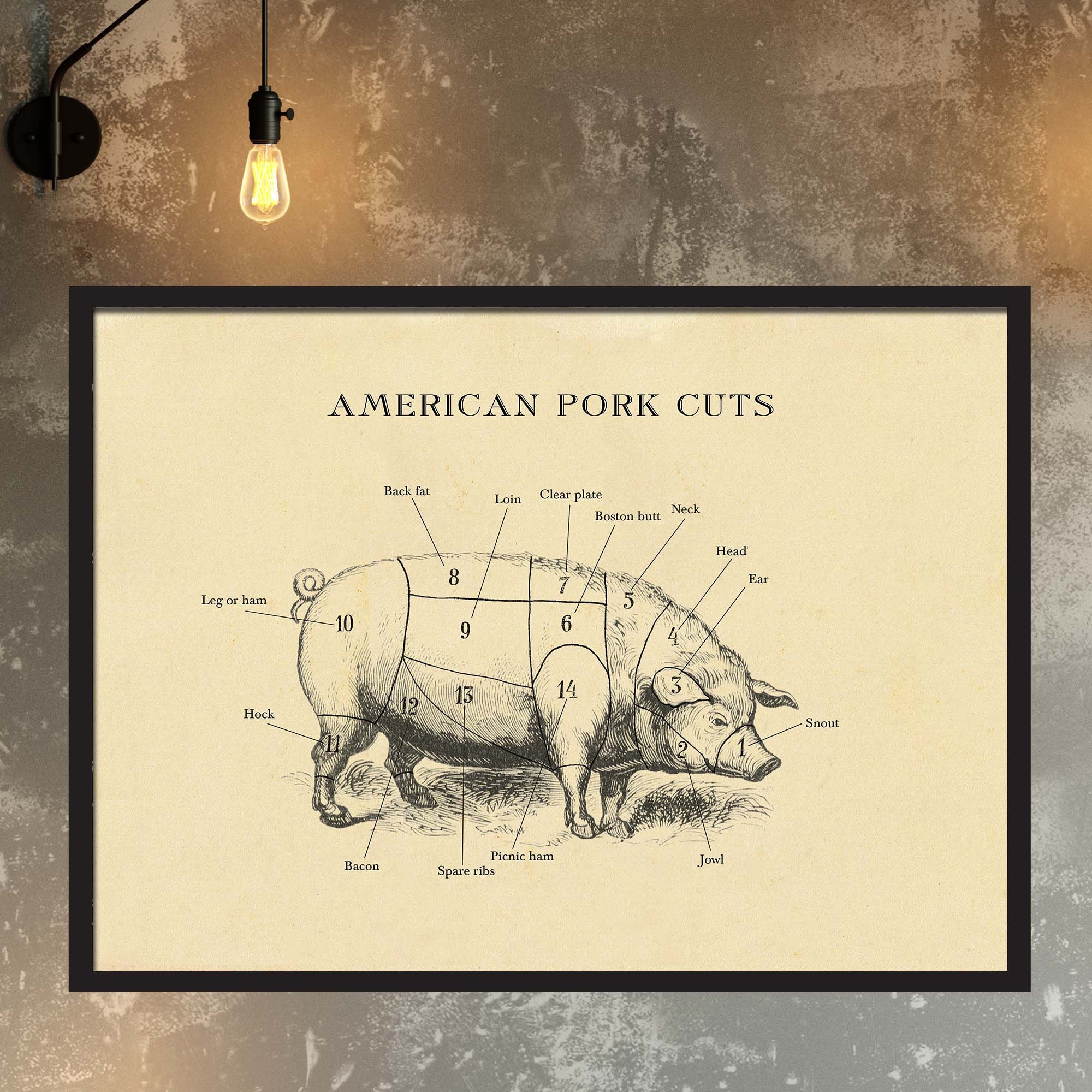 AMERICAN Pork Butcher Chart, Cuts of Meat, Etching Style Print, Farm ...