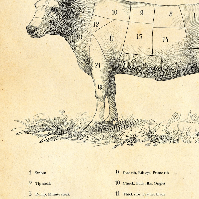 British Beef Cuts Chart, Beef Cut Cow Print, Kitchen Collection - Etsy