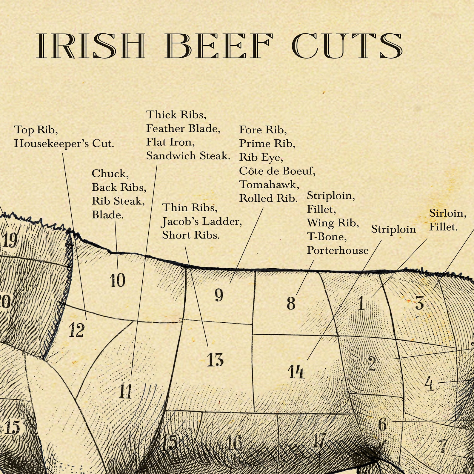 IRISH Beef Cut Print, Butcher Chart Poster, Etching Style Print - Etsy