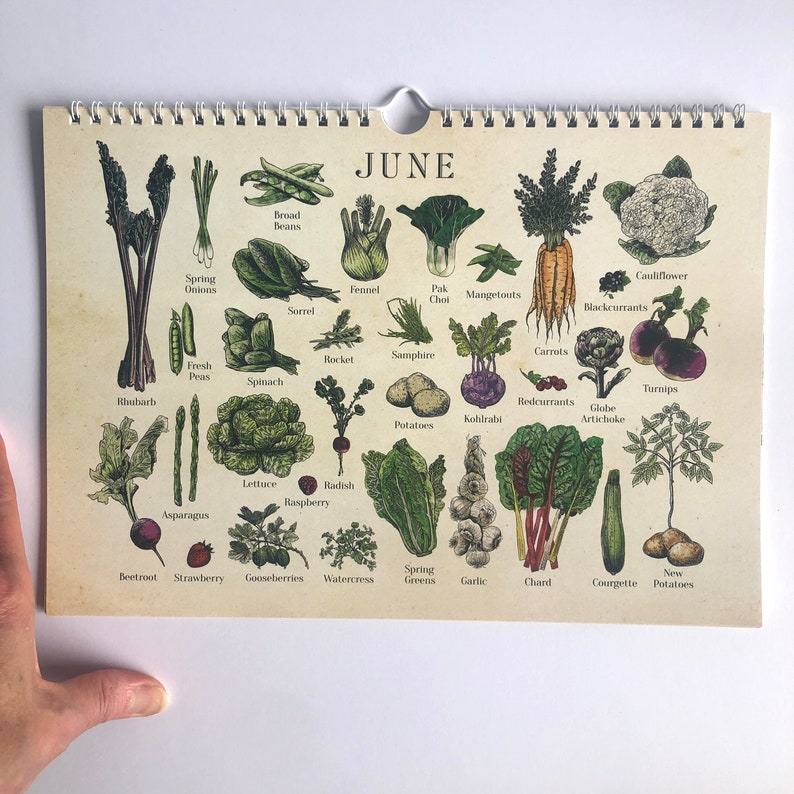 UK Seasonal Calendar, A4 (dateless) Fruit and Vegetable Wall Calendar ...