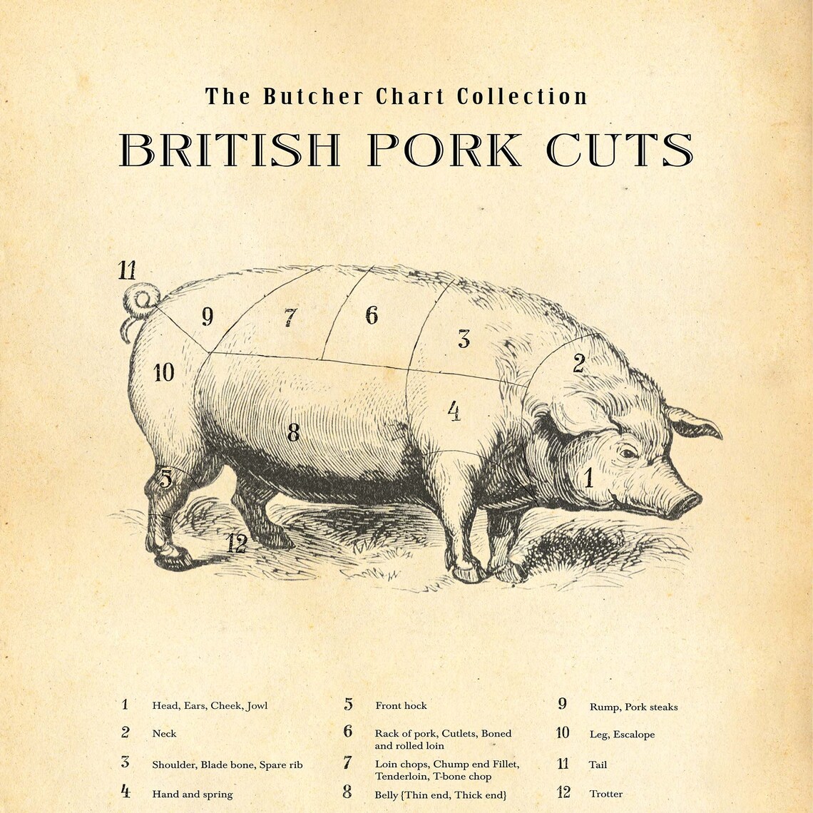 British Butcher Chart Set Meat Cuts Diagram 3 for 2 Offer - Etsy Canada