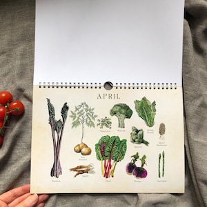 UK Seasonal Calendar, A4 (dateless) Fruit and Vegetable Wall Calendar ...