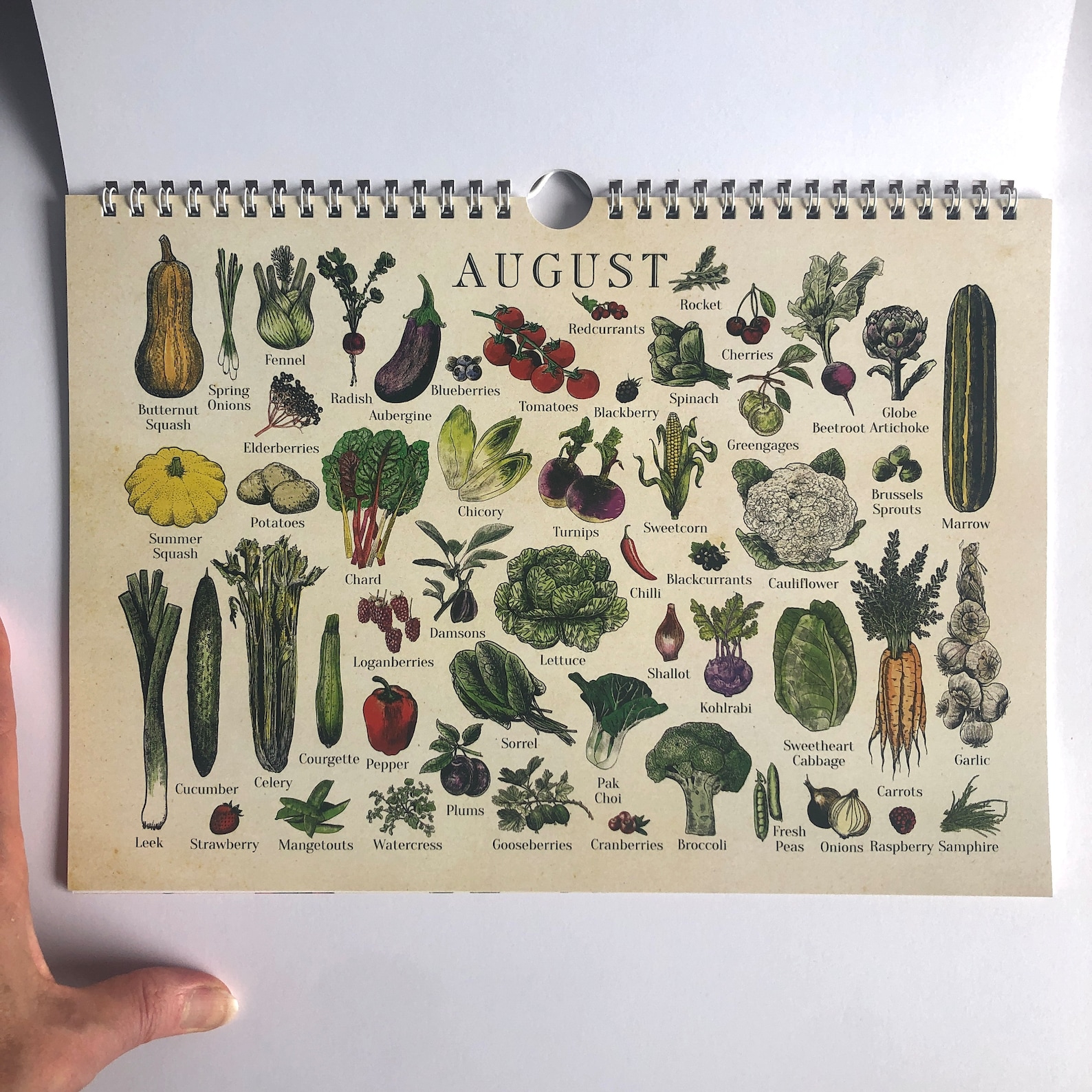 UK Seasonal Calendar, A4 (dateless) Fruit and Vegetable Wall Calendar ...